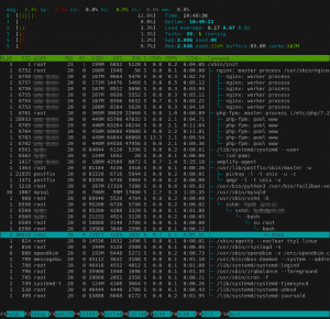 htop: Quick Guide & Customization - LinuxPunx